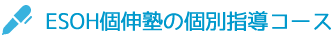 社会人プロの個別指導塾ESOH個伸塾 幕張本郷・新検見川・東船橋
